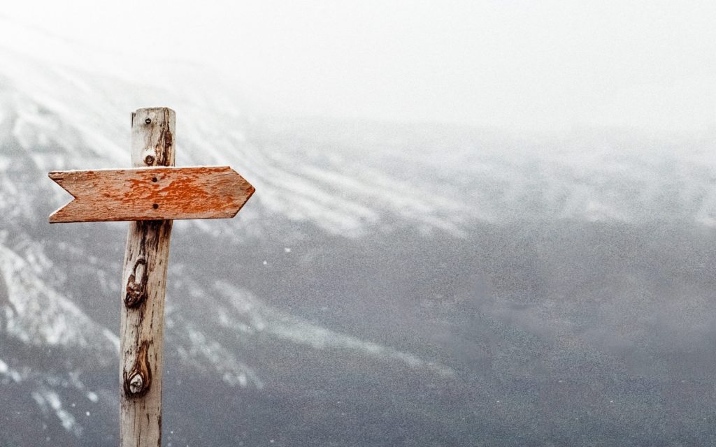 Research – Michelle Gielan